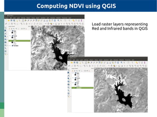 How to calculate NDVI using QGIS | PDF