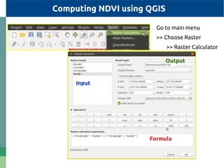 How to calculate NDVI using QGIS | PDF