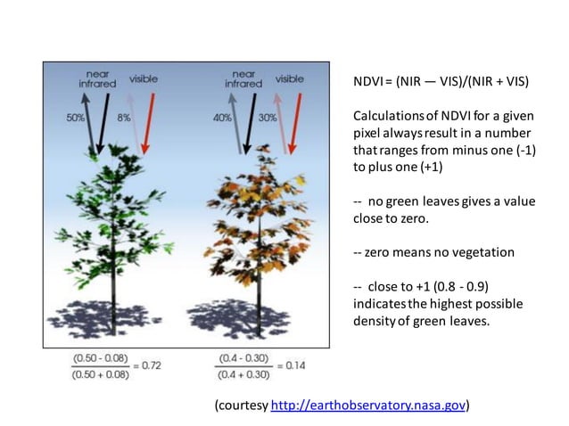 Normalized Difference Vegetation Index (NDVI) | PDF