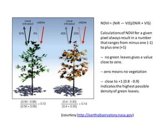 Normalized Difference Vegetation Index (NDVI) | PPT