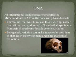 Neanderthal extinction powerpoint | PPTX | Genetics | Science