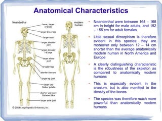 Neanderthals, Lecture 9 | PDF