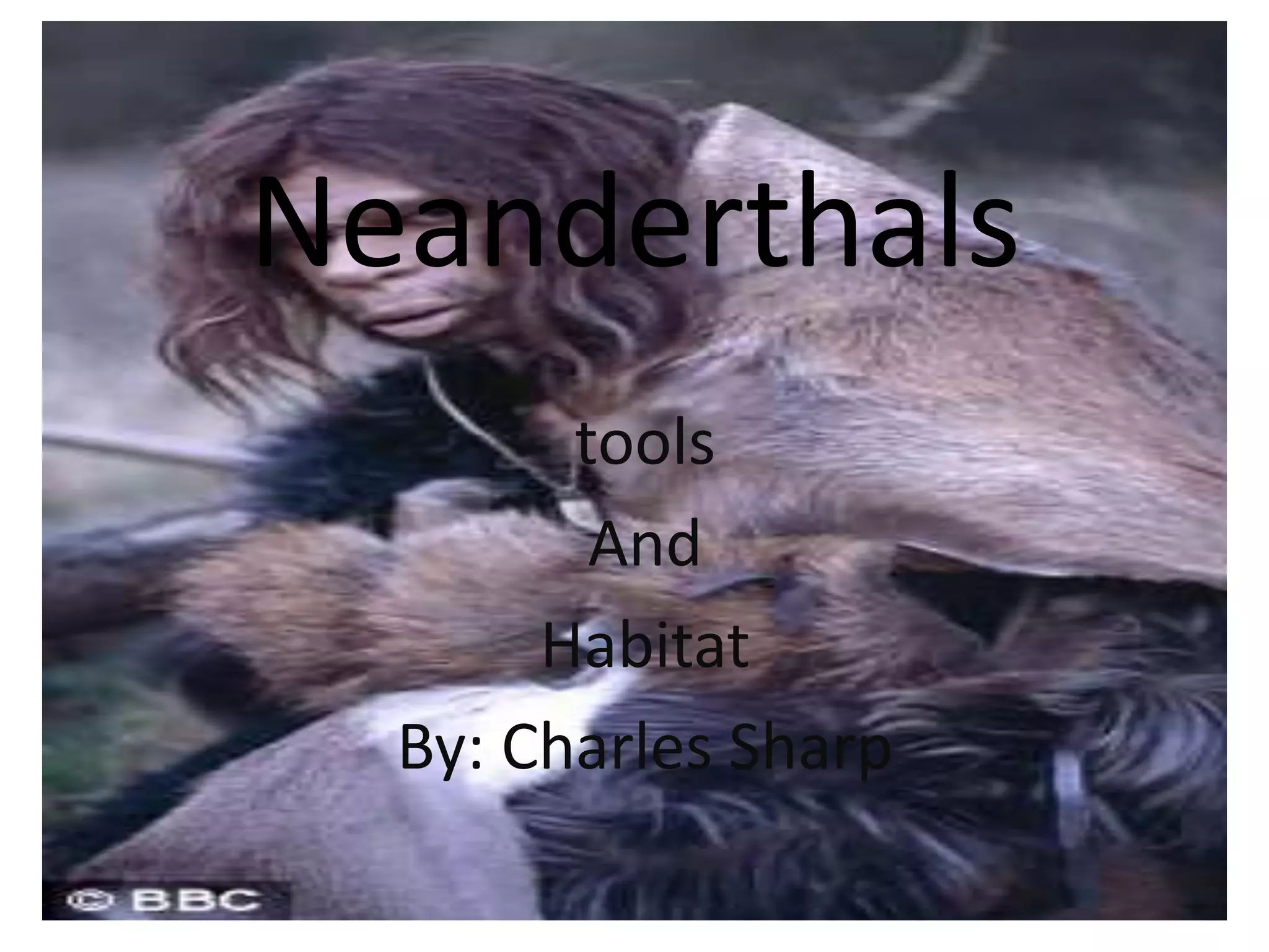 Neanderthals powerpoint | PPTX