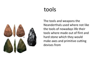 Neanderthal Tools And Weapons