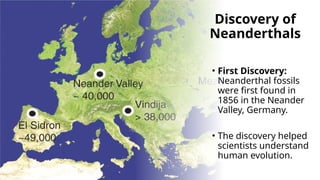 Neanderthals Presentation _ Gateway .pptx