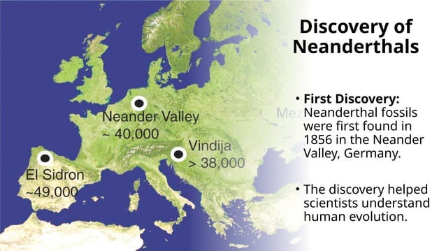 Neanderthals Presentation _ Gateway .pptx