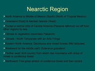 Nearctic | PPT
