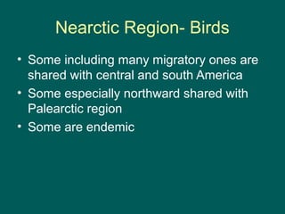 Nearctic | PPT