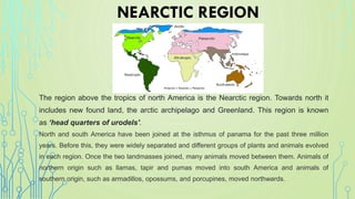 Nearctic region | PDF