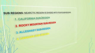 Nearctic region | PDF