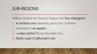 Nearctic region rabi cheema.pptx