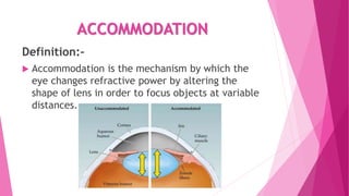 Near point and far point of accommodation | PPTX