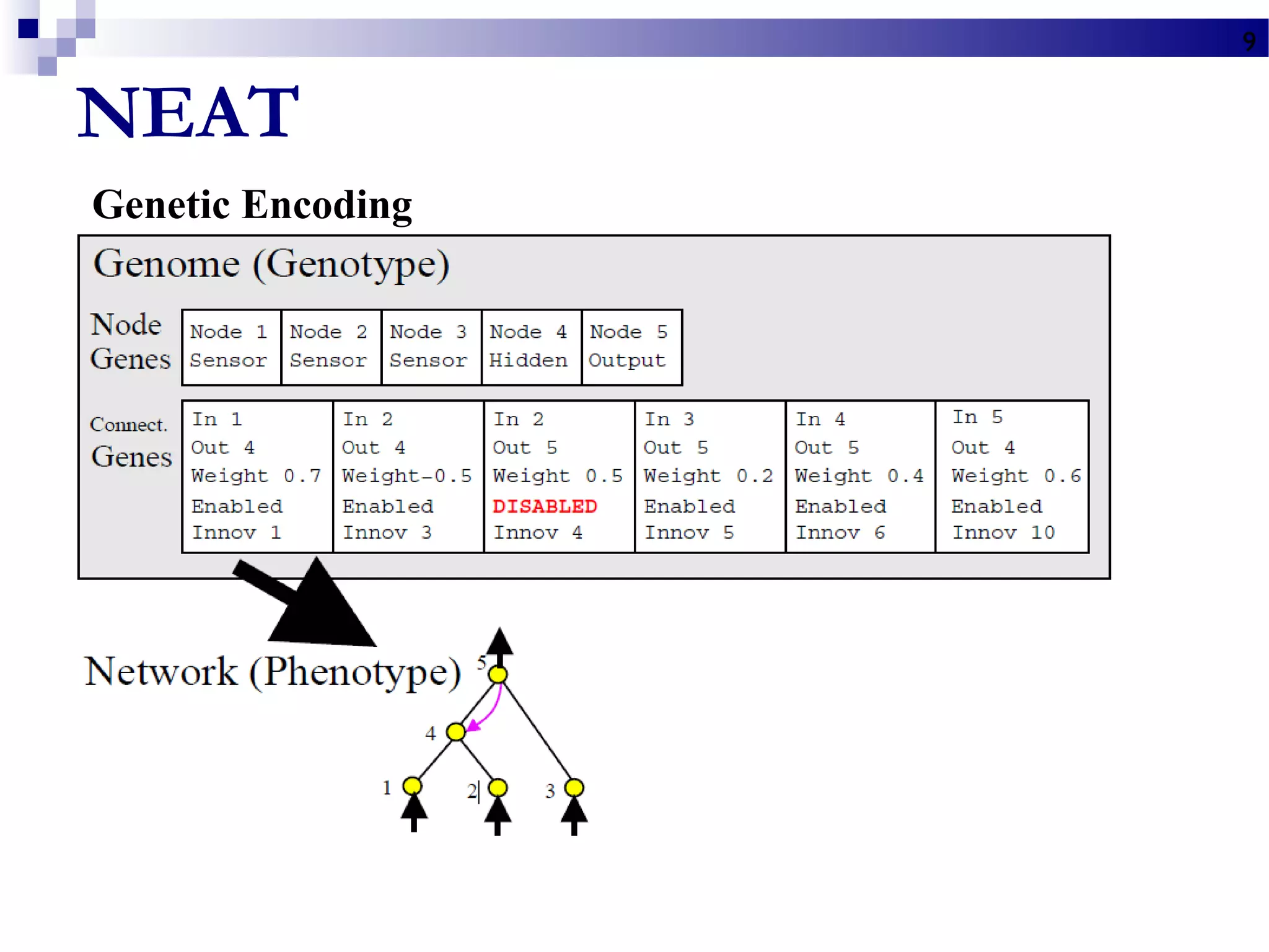 Evolving Neural Networks through Augmenting Topologies NEAT | PPT