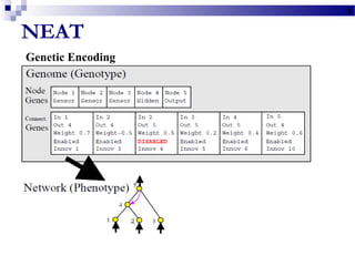 Evolving Neural Networks through Augmenting Topologies NEAT | PPT