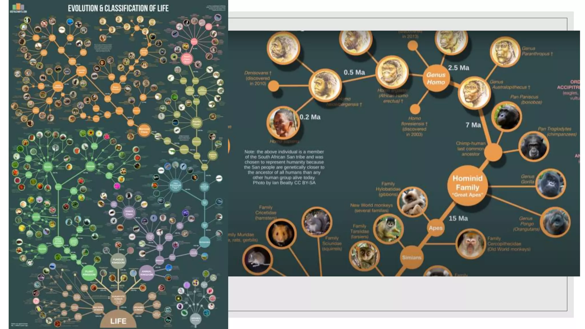NEAT: Neuroevolution of Augmenting Topologies | PPTX