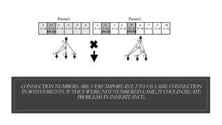 NEAT: Neuroevolution of Augmenting Topologies | PPTX