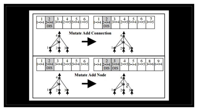 Neat Neuroevolution Of Augmenting Topologies Pptx