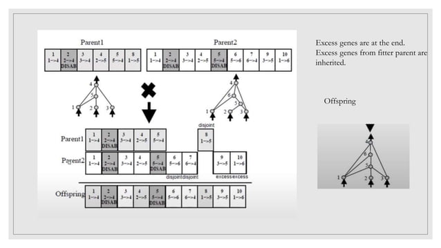 Neat Neuroevolution Of Augmenting Topologies