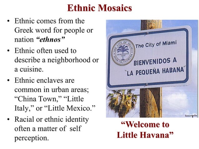 Neb identity, race, ethnicity, gender & sexuality | PPT