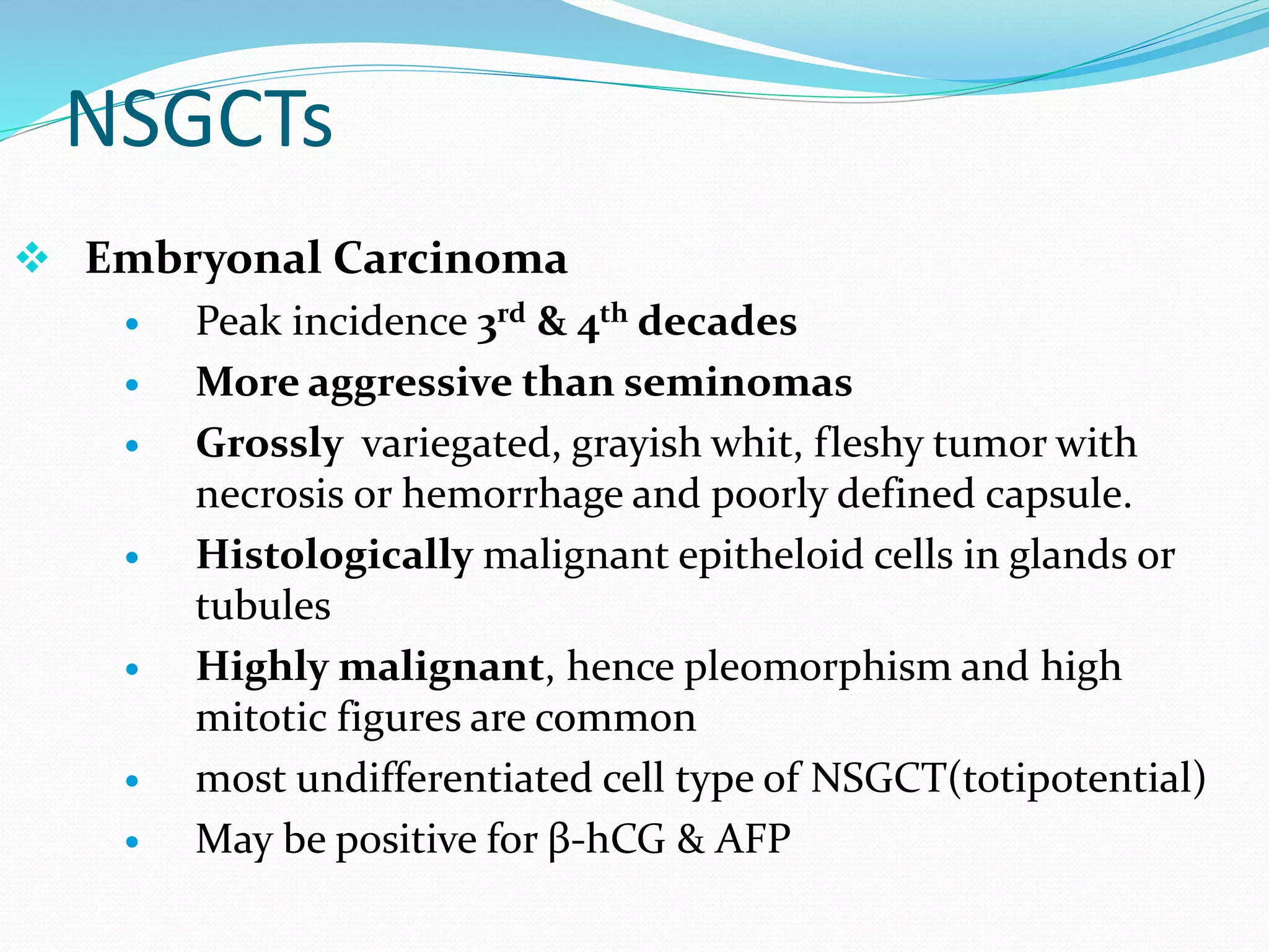 Pathology of testicular tumors | PPTX