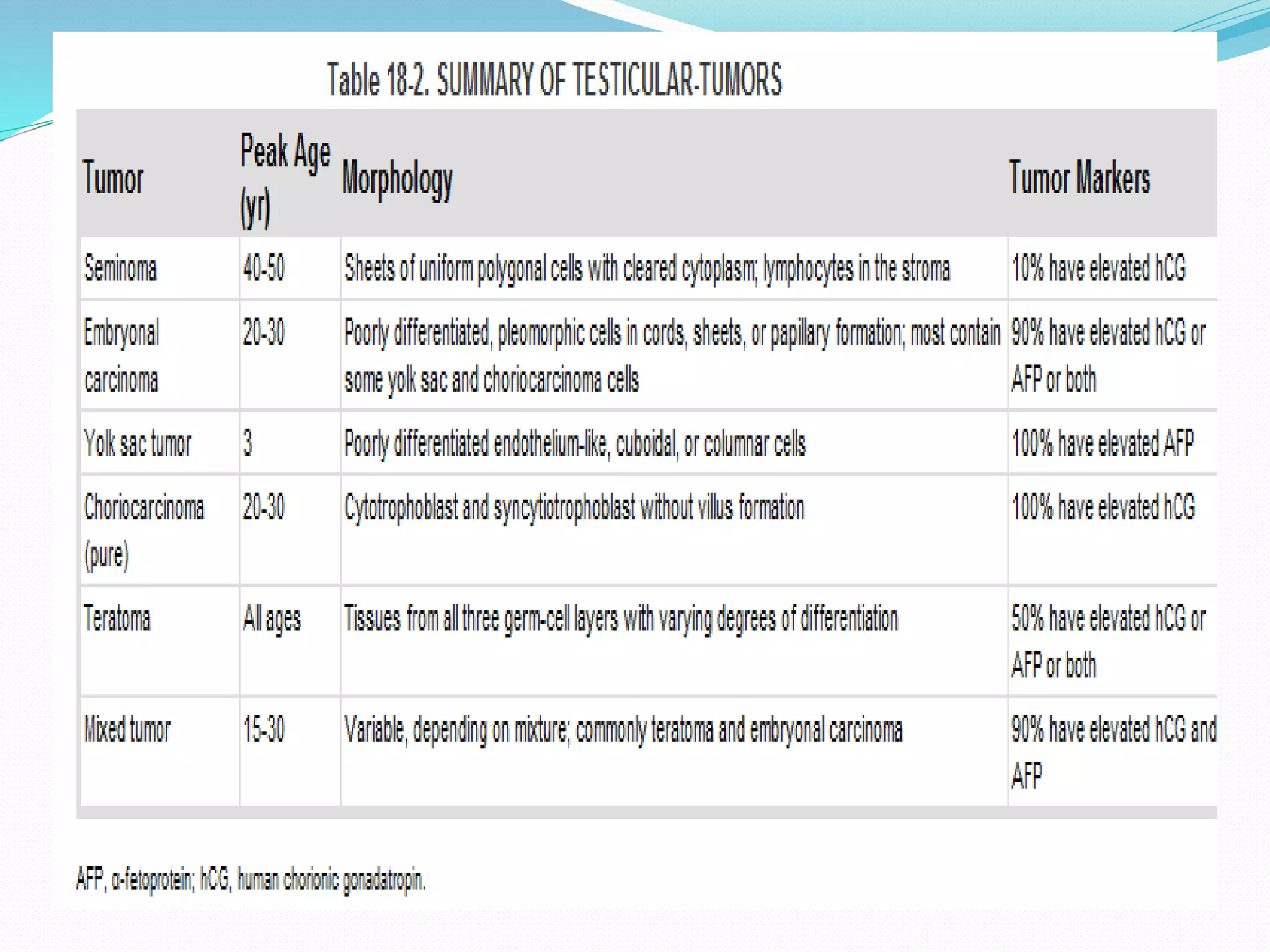 Pathology of testicular tumors | PPTX