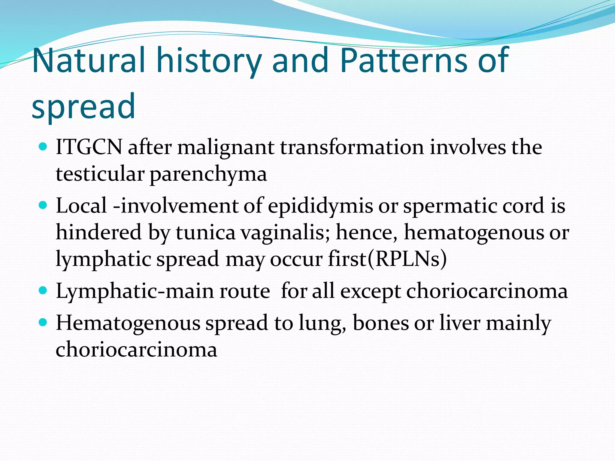 Pathology of testicular tumors | PPTX