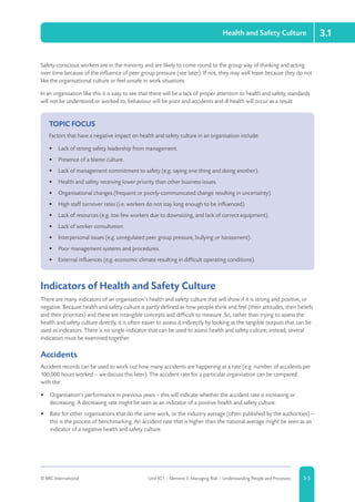 NEBOSH Unit IG1 | PDF