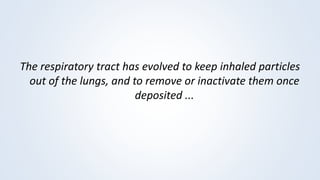 Home nebulisation | PPT