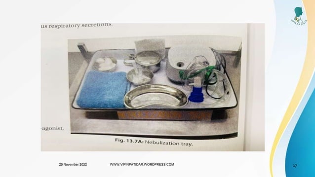 Nebulization | PPTX | Lung and Respiratory Health | Diseases and Conditions