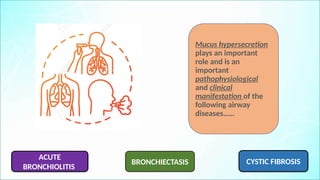 Nebulized mucoactive drugs in mucus management.pptx