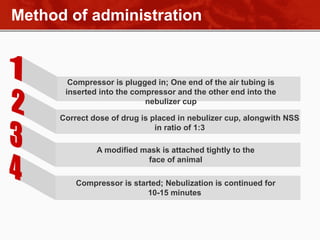 Nebulizer therapy animals | PPT