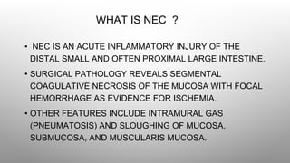 Necrotizing enterocolitis in newborns | PDF