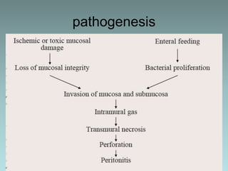 Necrotizing Enterocolitis Pathophysiology