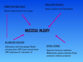 Necrotizing Enterocolitis Pathophysiology