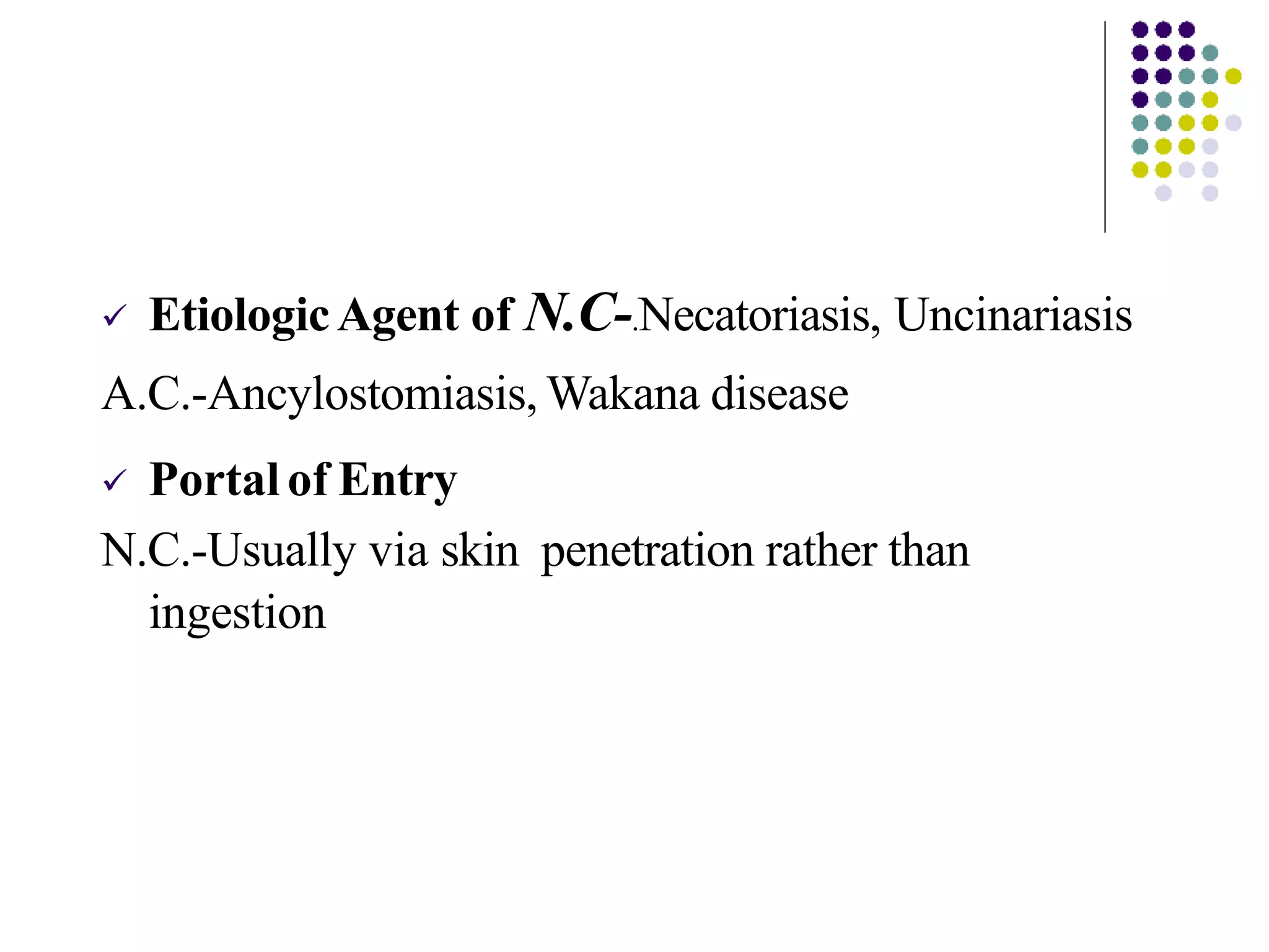 necator-americanus.pptx