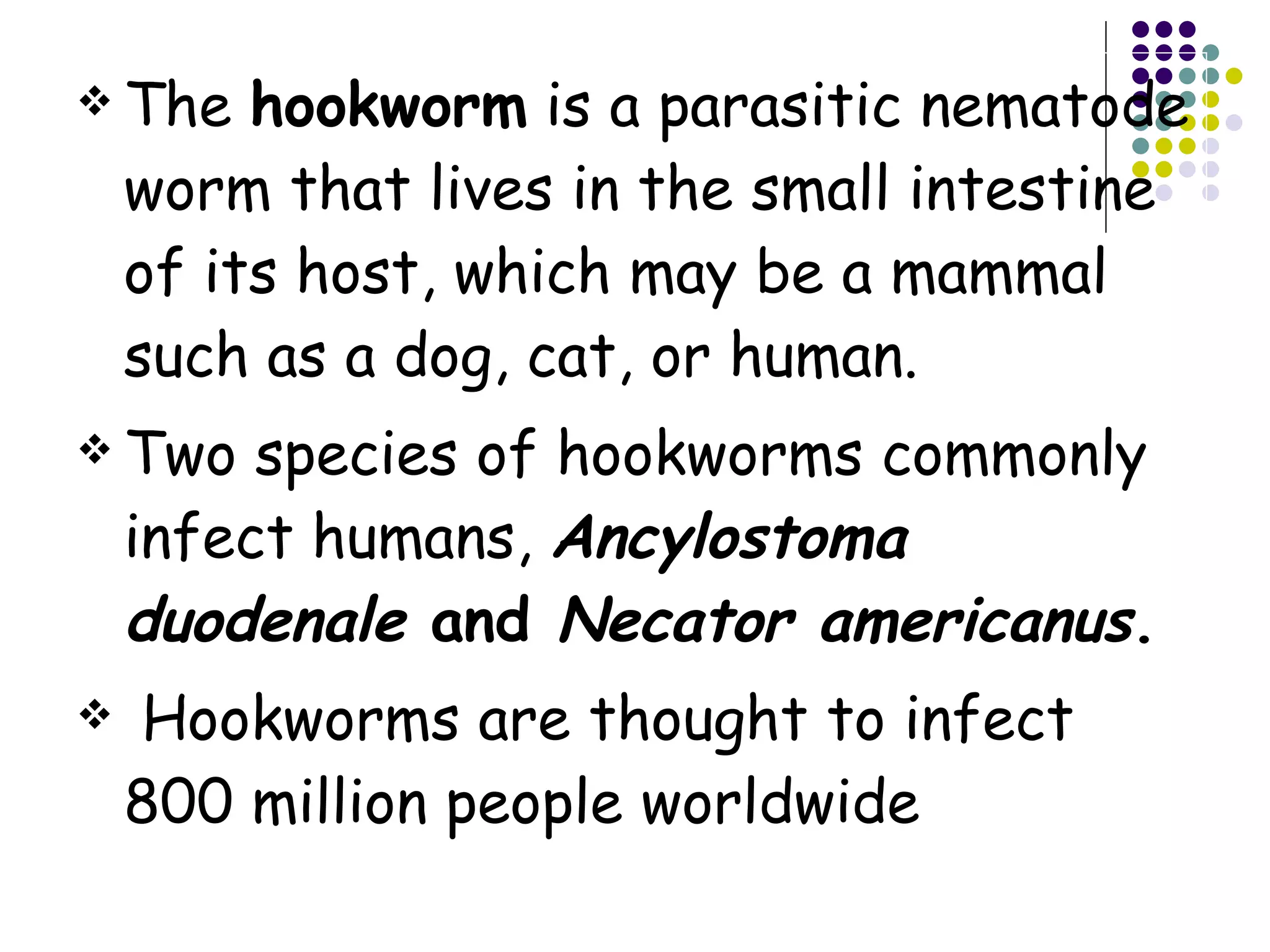Necator Americanus By Quiblat | PPT