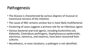 NEC Dr Sam Ojedokun.pptx