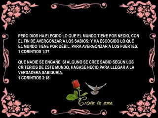 Necedad | PPT