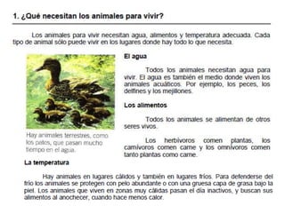 Necesidades de los seres vivos | PPTX
