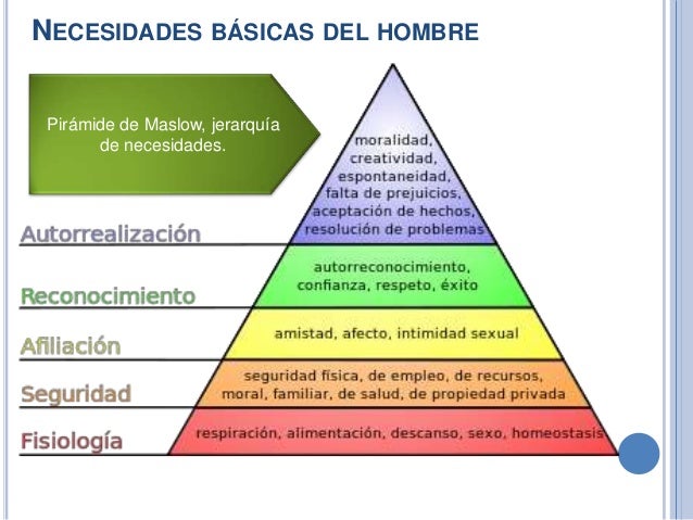 Necesidades humanas 5