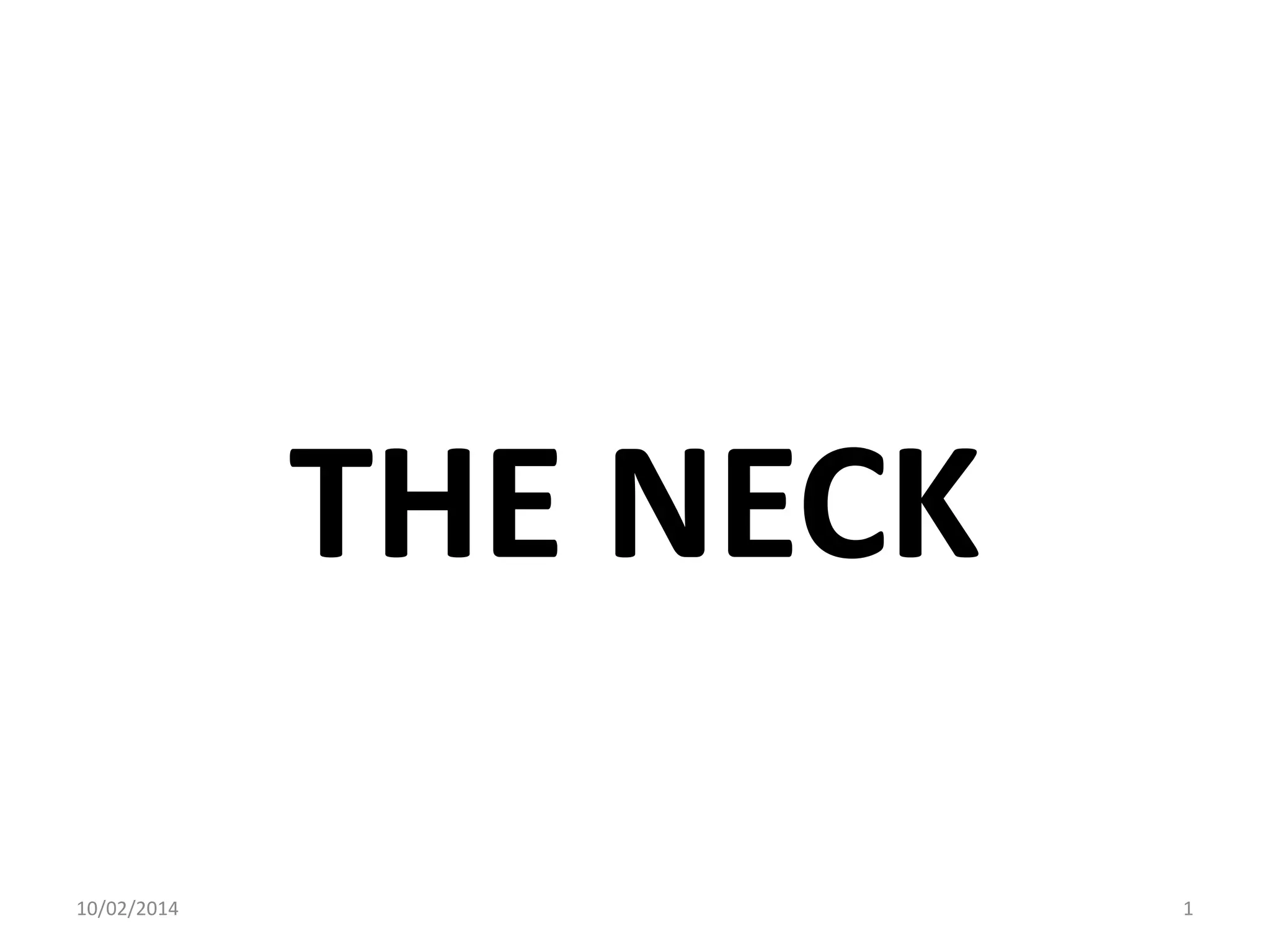 Neck | PPTX