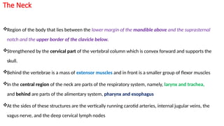 Anatomy of neck by aizaz khan || International | PPTX