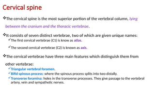 Anatomy of neck by aizaz khan || International | PPTX