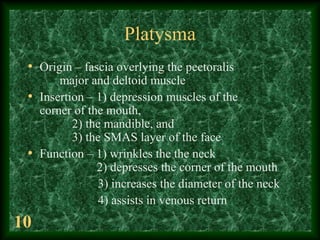 Neck dissection-020116-slides | PPT