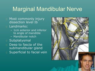 Neck Dissection | PPTX