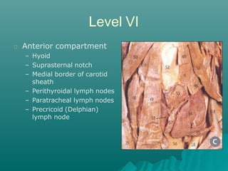 Neck Dissection | PPTX