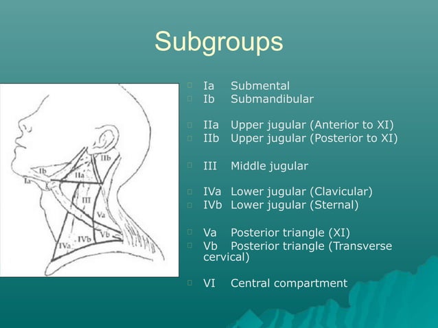 Neck Dissection | PPT