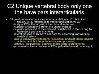 Neck Pain After Trauma | PPT