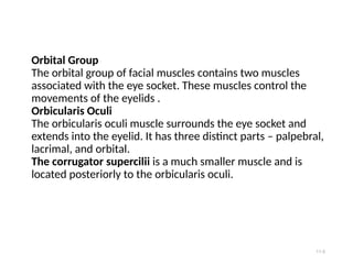 Миология Neck№2.ppt muscle of neck ppt ppt | PPT