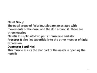 Миология Neck№2.ppt muscle of neck ppt ppt | PPT